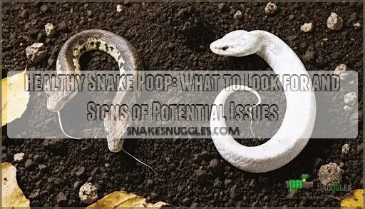 Healthy Snake Poop: What to Look for and Signs of Potential Issues