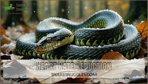 When Do Snakes Go Into Hibernation? Everything You Need to Know