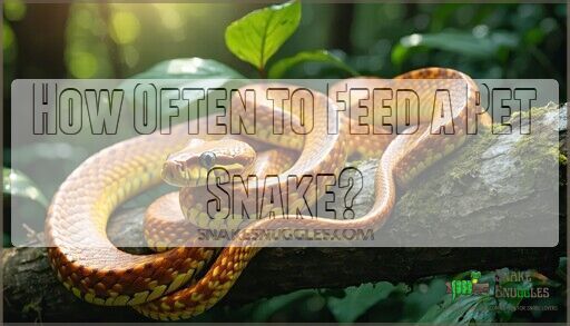 How Often to Feed a Pet Snake: a Guide to Feeding Techniques