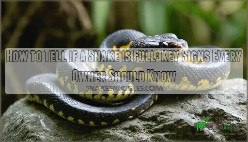 How to Tell if a Snake is Full: Key Signs Every Owner Should Know