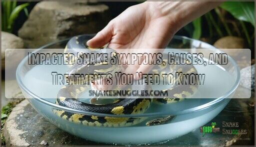 Impacted Snake Symptoms, Causes, and Treatments You Need to Know