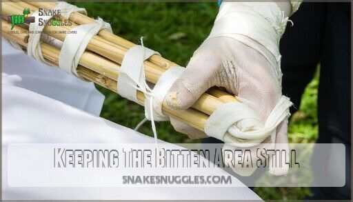 Snake Wound Care at Home: Emergency First Aid & Treatment Guide