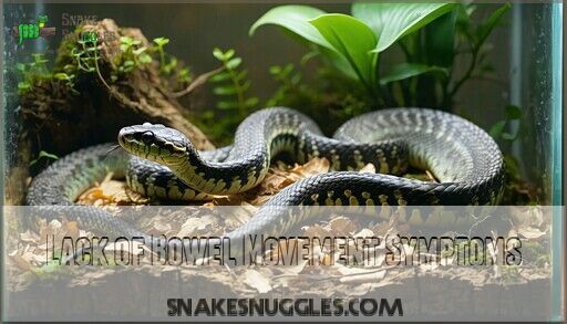 Snake Constipation Solutions: Causes, Treatments, and Prevention Tips