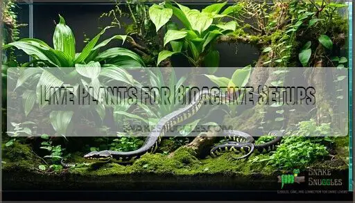 Boa Constrictor Bioactive Setup Plants: Best Tips for a Thriving Terrarium