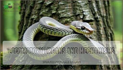 How Do Snakes Move? 4 Amazing Movement Types Without Legs Explained