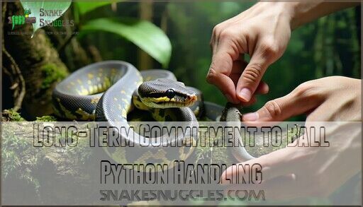 How to Safely Handle a Python: Expert Tips for Stress-Free Care