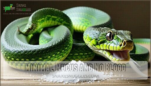 Healthy Snake Poop Looks Like: 7 Essential Signs of a Well-Digesting ...