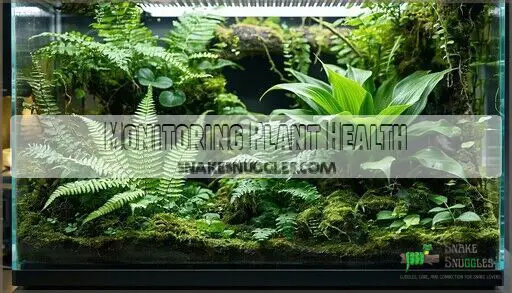 Ball Python Bioactive Setup Plants: Complete Guide to Thriving Vivs