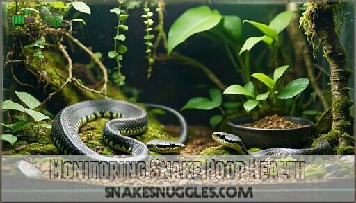 Healthy Snake Poop: What to Look for and Signs of Potential Issues