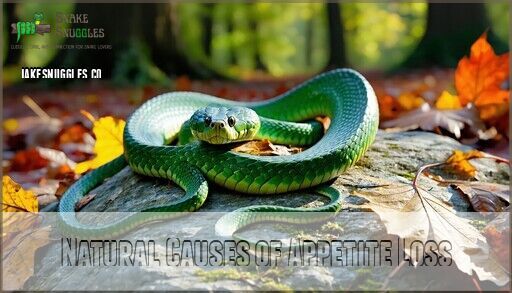 Snake Digestive Problems: Signs, Causes, and Prevention Tips