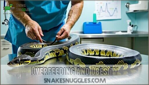 Snake Constipation Treatment: Urgent Care for Your Reptile's Relief ...