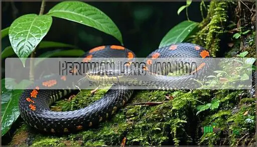 Boa Constrictor Types: Guide to Species, Subspecies, & Rare Varieties