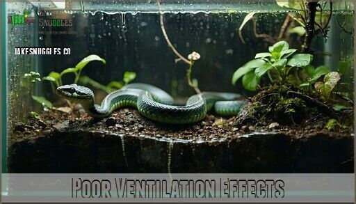 What Causes Snake Blisters? Top Causes & Prevention Tips for 2025