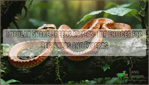 Popular Snake Breeds as Pets: Top Choices for Beginners and Experts