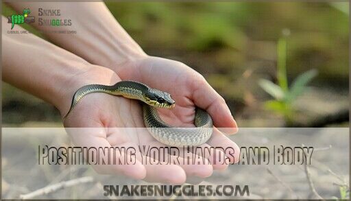 Snake Handling Safety Tips: How to Avoid Bites and Handle Snakes Safely