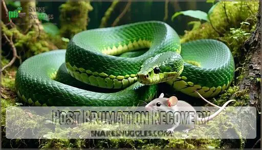 Snake Brumation Care Guide: 8 Essential Steps for Your Pet's Winter Sleep