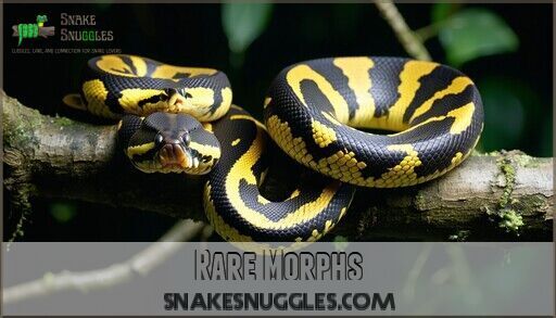 Ball Python Snake Breeds: 50+ Stunning Morphs & Care Guide 2025