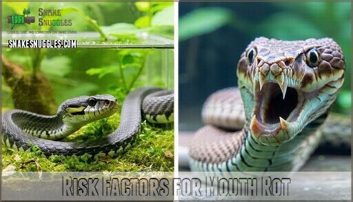 Causes of Snake Mouth Rot: Complete Guide to Prevention & Treatment