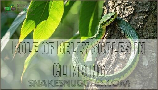 How Do Snakes Move? 4 Amazing Movement Types Without Legs Explained