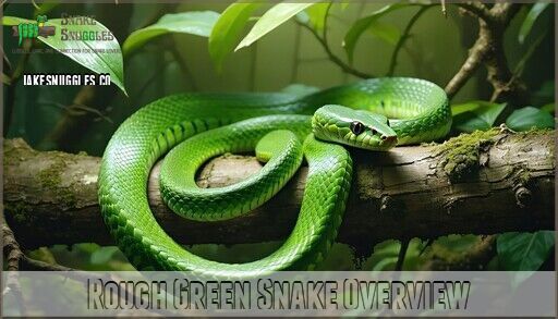 Rough Green Snakes as Pets: 10 Shocking Facts You Never Knew! (2025)