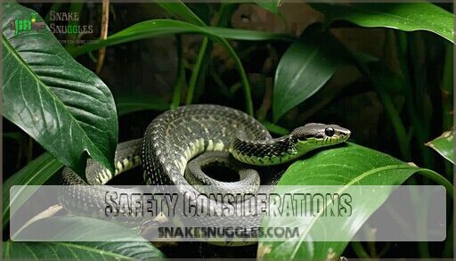 Snake Tank Decor Ideas: Creative Tips for a Safe & Stunning Terrarium