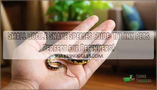 What Snakes Eat Insects? Types, Diets & Fascinating Facts Explained