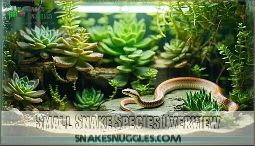 Small Docile Snake Species Guide: 10 Tiny Pets Perfect for Beginners!