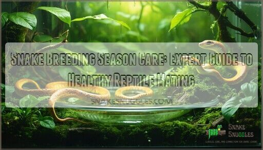 Snake Breeding Season Care: Expert Guide to Healthy Reptile Mating