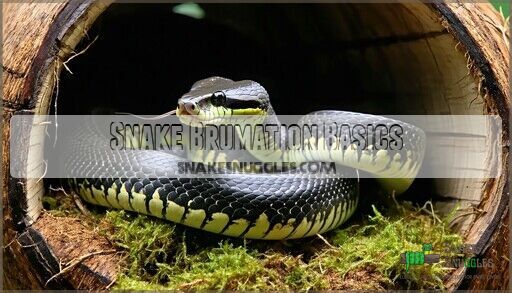 Snake Brumation Process: How Snakes Survive and Thrive in Winter