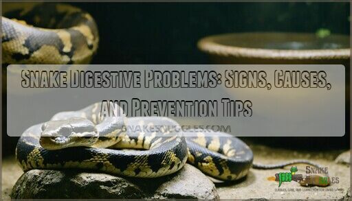Snake Digestive Problems: Signs, Causes, and Prevention Tips
