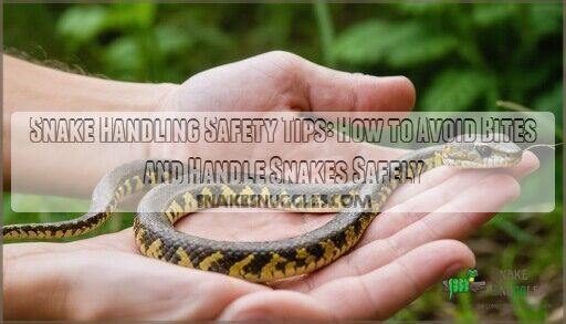 Snake Handling Safety Tips: How to Avoid Bites and Handle Snakes Safely