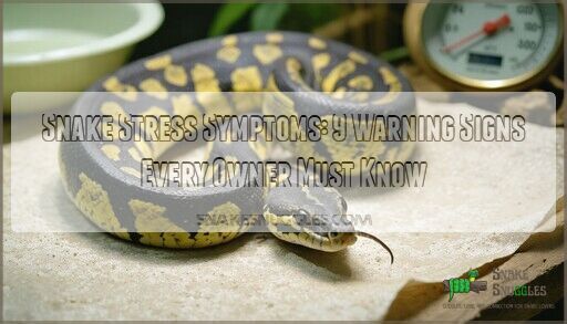 Snake Stress Symptoms: 9 Warning Signs Every Owner Must Know