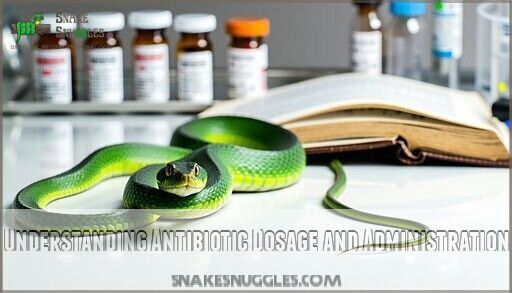 Safe Snake Antibiotics for Sale: Expert Guide to Reptile Health 2025