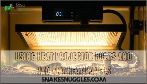 Ball Python Lighting Secrets: Pro Tips for Perfect Habitat Setup
