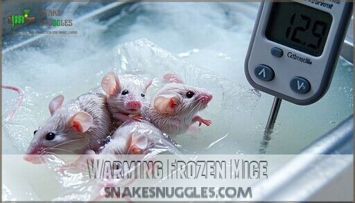 How to Prepare Frozen Mice Safely for Feeding Pet Snakes and Reptiles