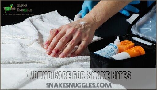 Snake Wound Care at Home: Emergency First Aid & Treatment Guide