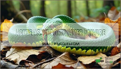 My Snake Has Liver Failure: Signs, Causes & Treatment Options
