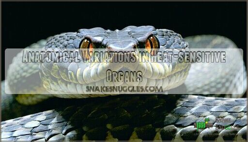 Pit Viper Heat Sensing Capabilities: How Snakes Hunt With Infrared