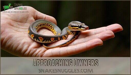 How Do Snakes Show Affection? The Surprising Truth About Reptile Love