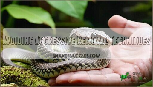 Snake Stuck Shed Removal: Safe Methods That Work Fast (2025 Guide)