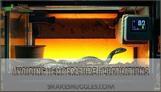 Regulating Snake Temperature at Night: Essential Tips for Healthy Pets