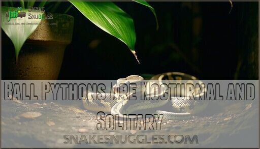 26 Cool Facts About Ball Pythons That Will Blow Your Mind!