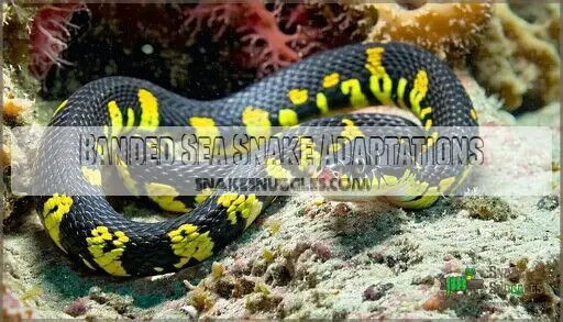 Sea Snake Toxins Marine Adaptations: Deadly Venom Evolution Secrets