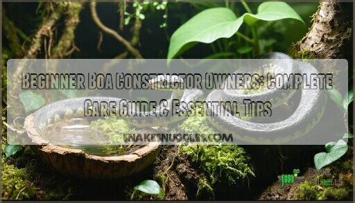 Beginner Boa Constrictor Owners: Complete Care Guide & Essential Tips