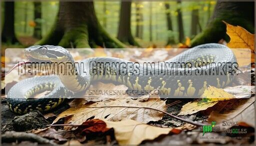 Do Snakes Roll Over When They Die? The Truth About Post-Mortem Movements