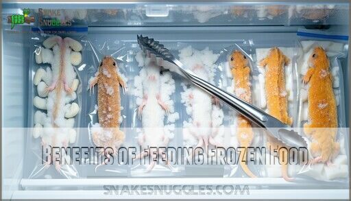 How to Feed a Snake Frozen Food: Complete Guide With Pro Tips