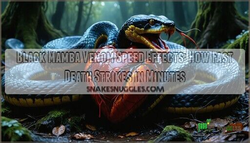 Black Mamba Venom Speed Effects: How Fast Death Strikes in Minutes
