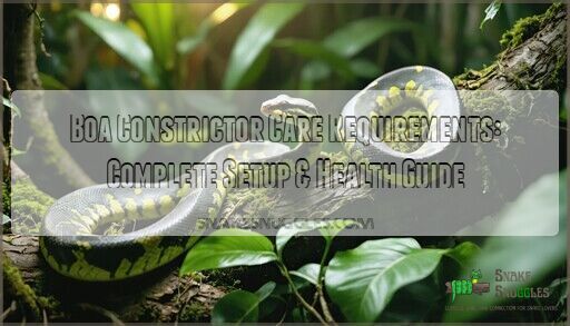 Boa Constrictor Care Requirements: Complete Setup & Health Guide