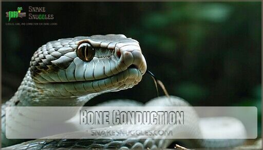 Do Snakes Have a Sense of Hearing? The Surprising Truth Revealed