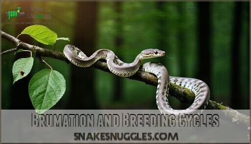 Do Snakes Need Brumation for Breeding? Essential Guide to Success